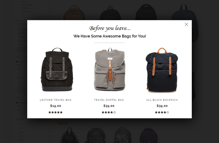 13 Simple and Surprisingly Effective Exit Intent Popup Examples ...
